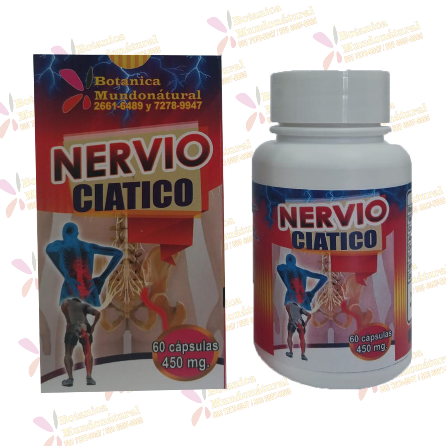 Nervio Ciático - Botánica Mundonátural | Sitio Oficial